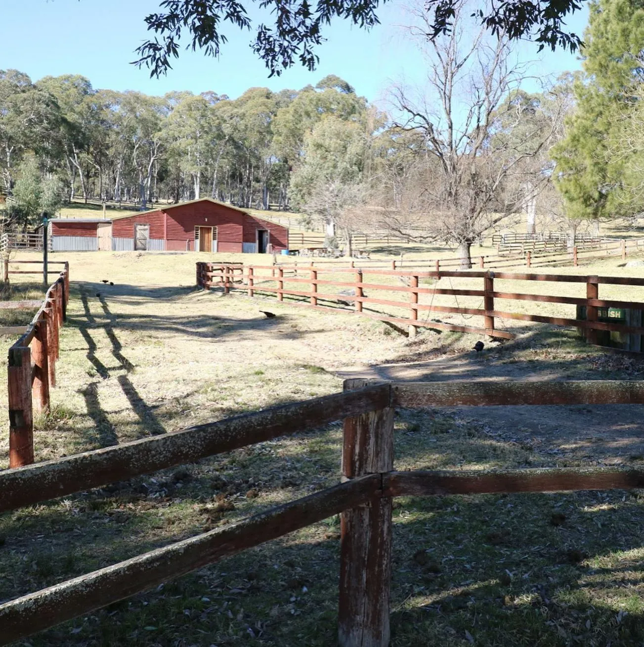 Megalong Valley Farm