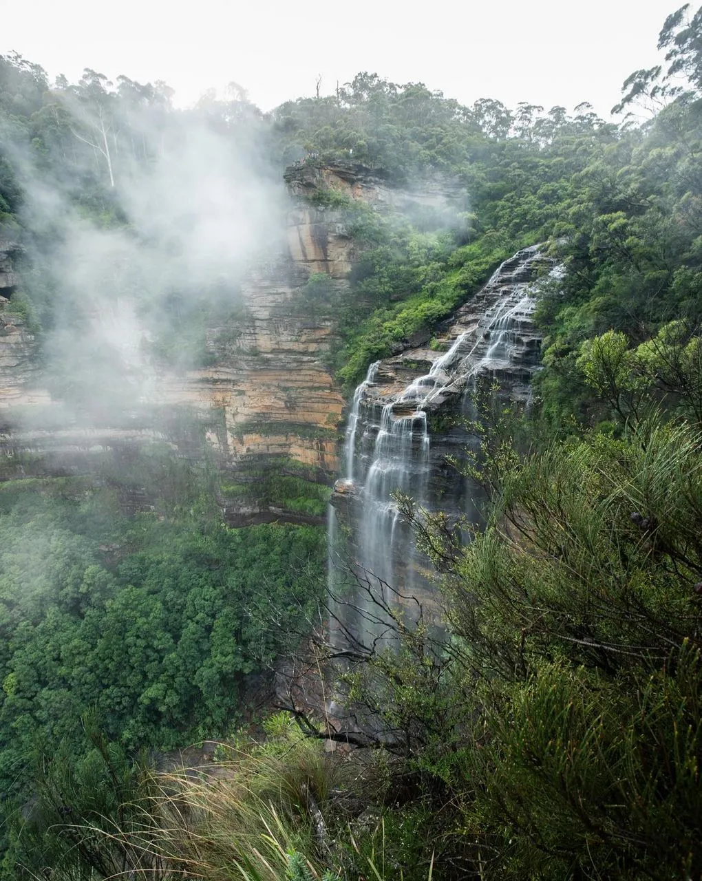 Charles Darwin Walk, Blue Mountains
