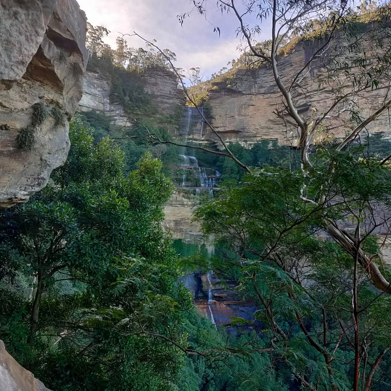 Charles Darwin Walk, Blue Mountains